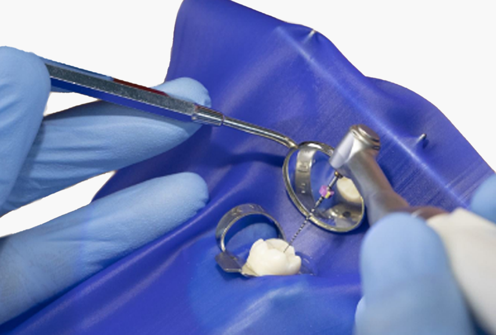 Endodontics Procedure-Based Courses | Dentsply Sirona